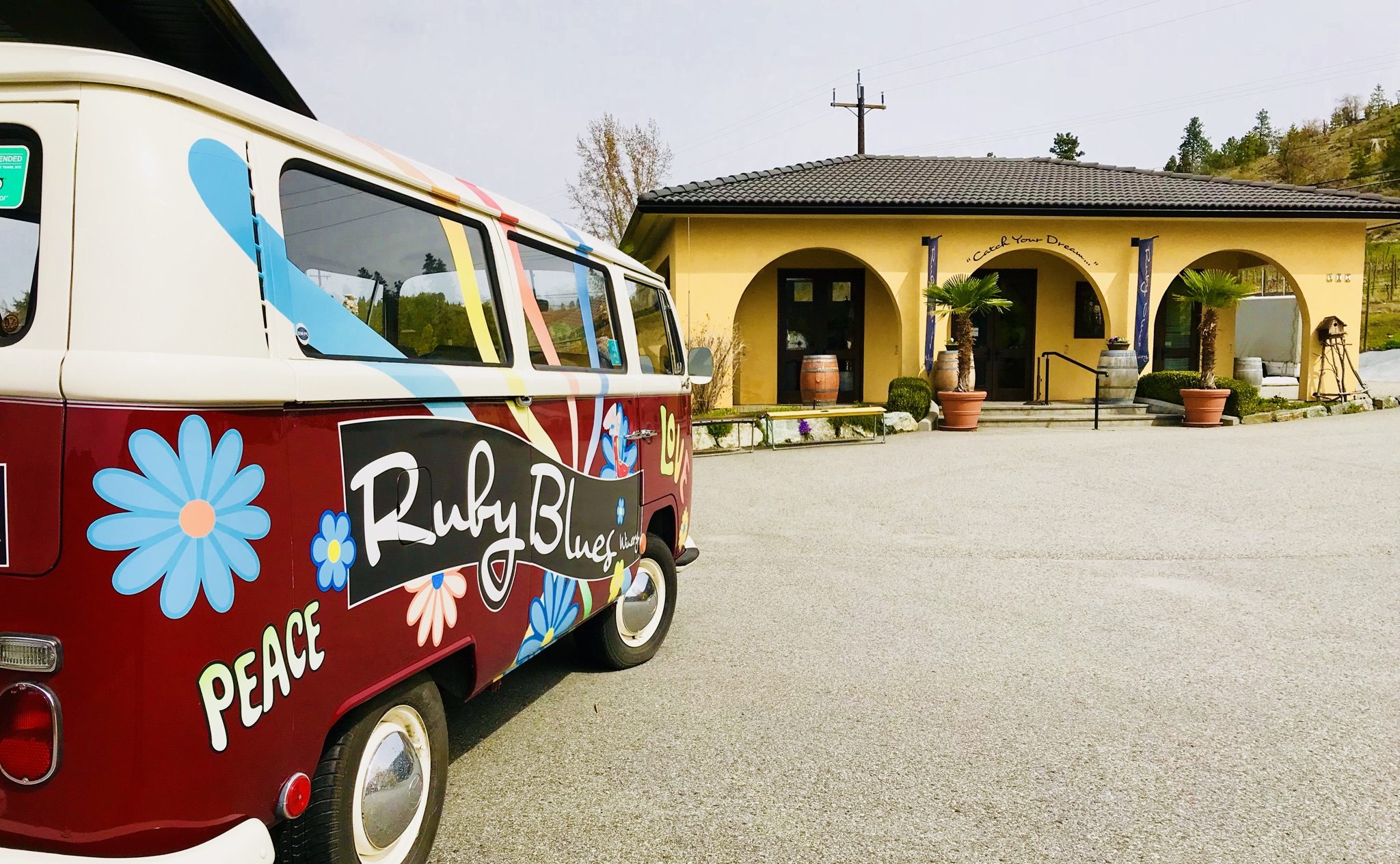 Gallery - Ruby Blues Winery
