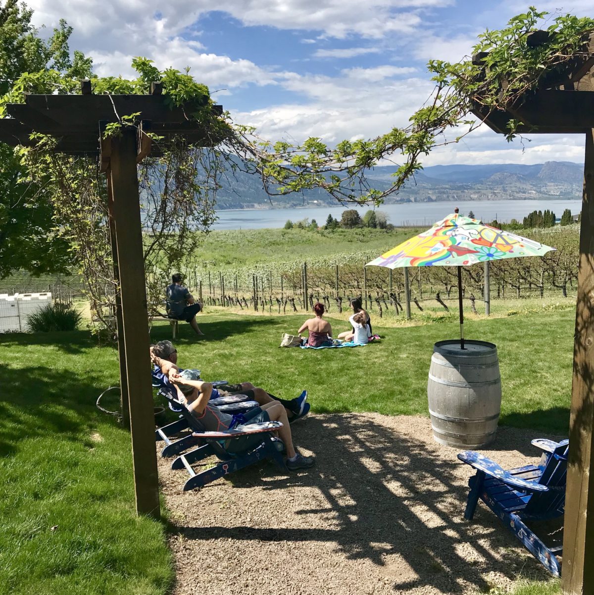 Gallery - Ruby Blues Winery