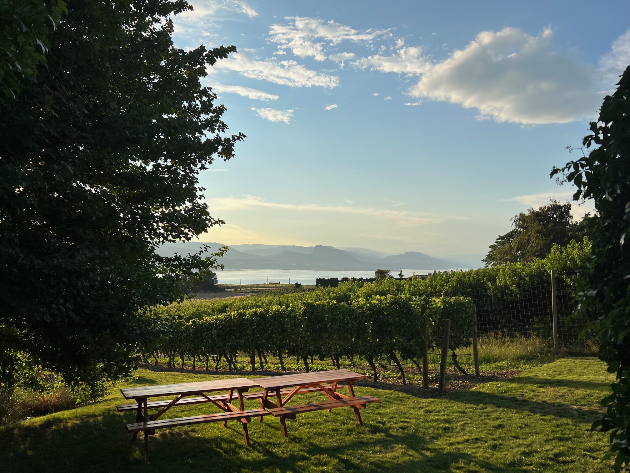 Gallery - Ruby Blues Winery