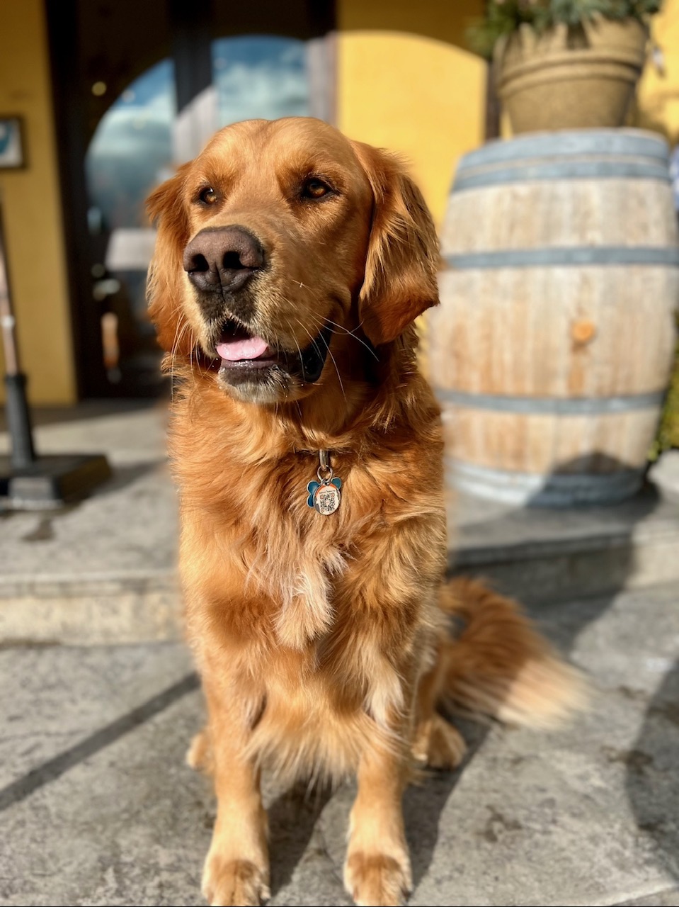 Gallery - Ruby Blues Winery